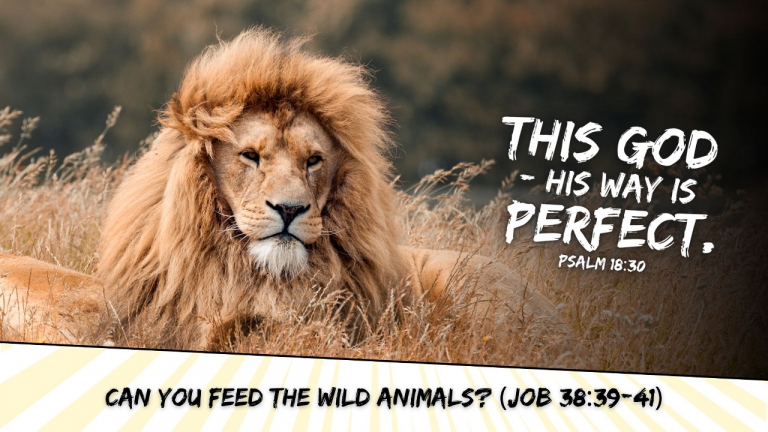 Job Trusts God! Bible Lesson - Kids Enjoying Jesus