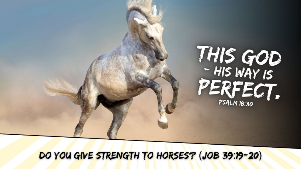 Job Trusts God! Bible Lesson - Kids Enjoying Jesus