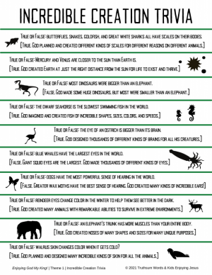 God Made Everything - Resource Bundle - Kids Enjoying Jesus