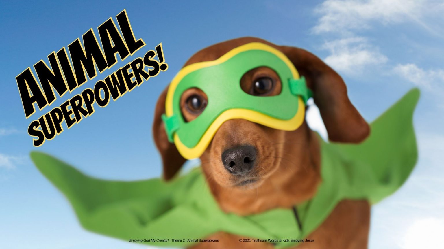 Animal Superpowers! Object Lesson – Kids Enjoying Jesus