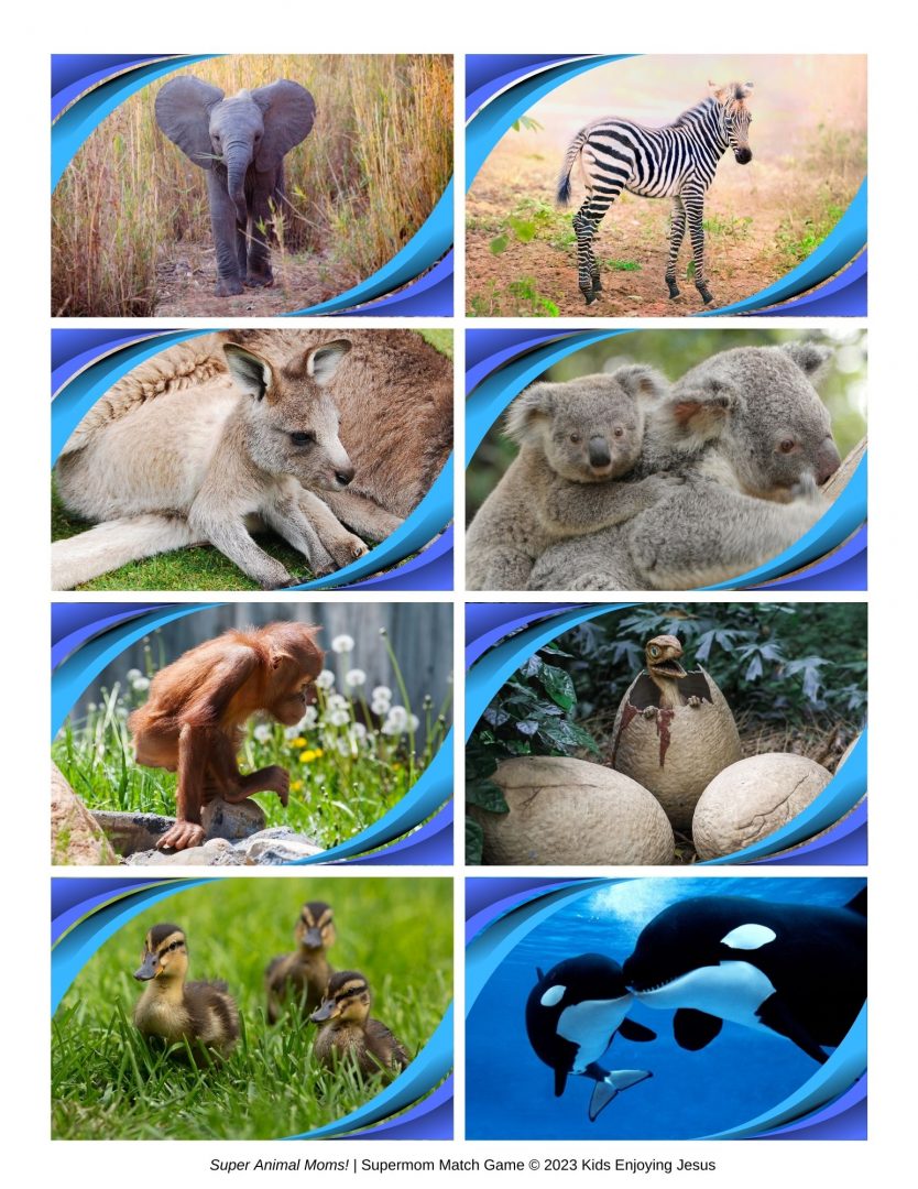 Super Animal Moms! Bible Lesson – Kids Enjoying Jesus