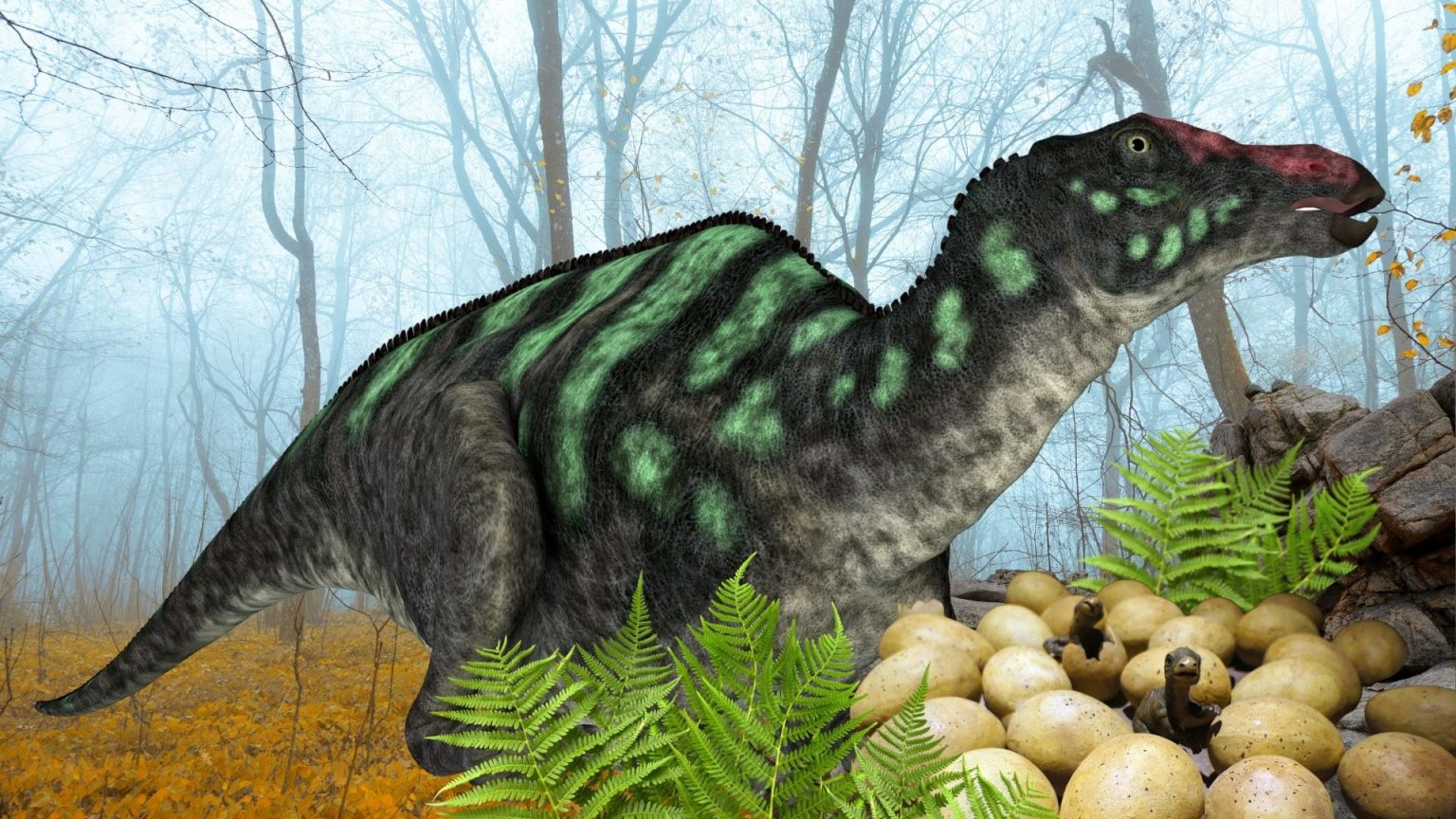 Super Animal Moms! Bible Lesson – Kids Enjoying Jesus